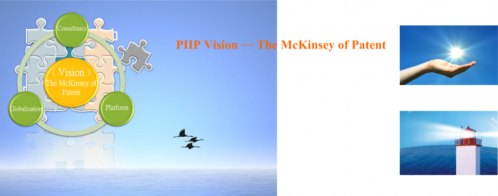 PIIP Vision - PIIP