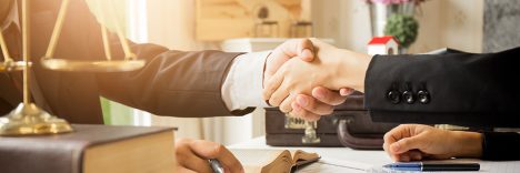 Portal International IPR Group - PIIP